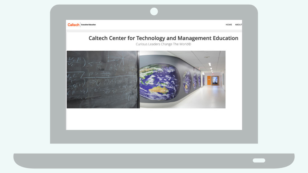 Continuing Education For Executives Elearning Delta